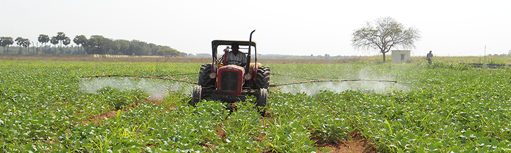 REGIONAL STATION FOR FORAGE PRODUCTION AND DEMONSTRATION